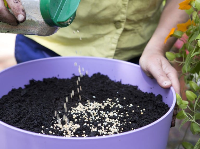 Plant Food - Baumanns Of Stillorgan